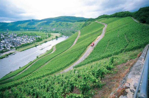 Valle del Riesling, viaggio in camper tra il Reno e la Mosella - Pleinair