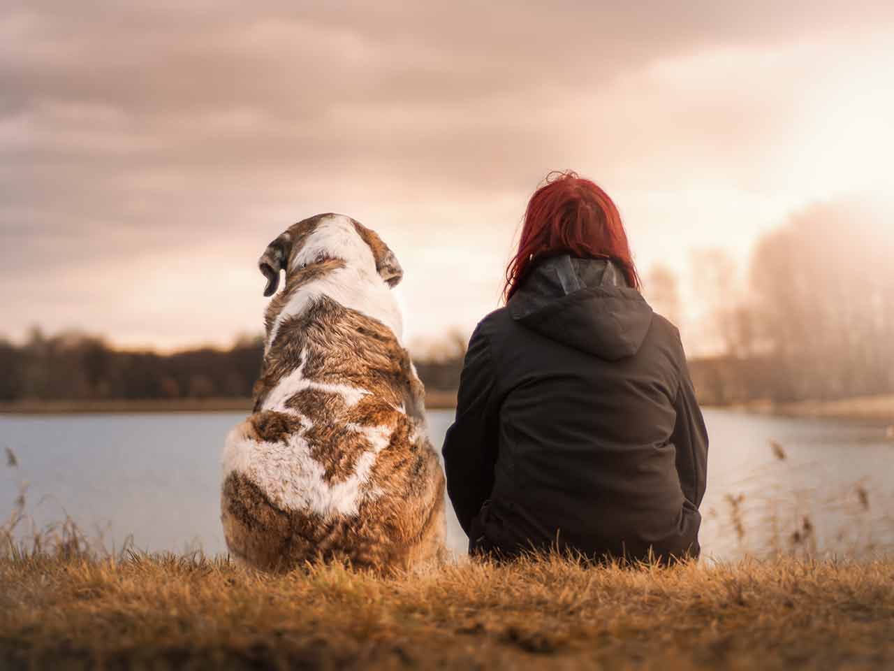 Comprendere i bisogni dei nostri amici animali - Pleinair