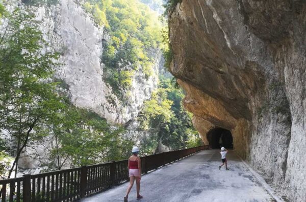 Friuli Venezia Giulia in camper: viaggio di 8 giorni a nordest