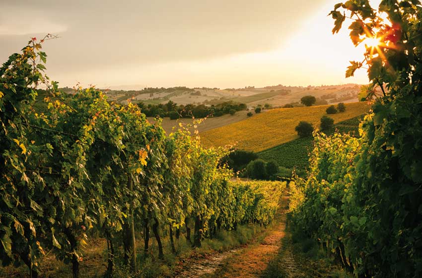 Marche in camper dove andare - Pleinair